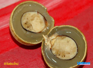 lamyai_9 – โป๊ะเช๊ะ ดอท คอม